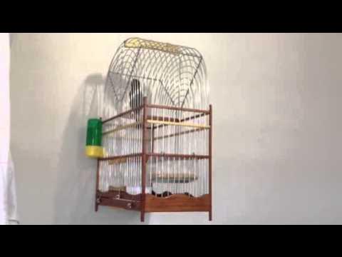 PICOLET APATA 973 - YouTube