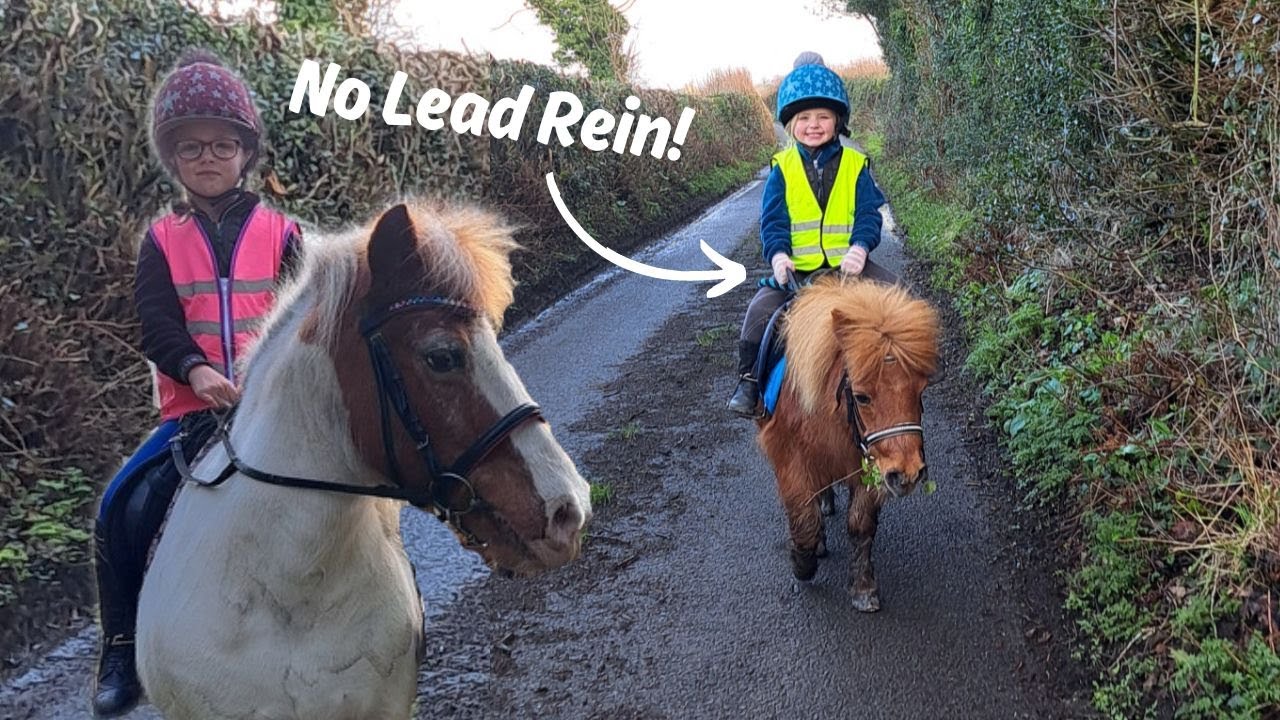 Back in the Saddle 2024 - Building our confidence back up | Pony Fun ...