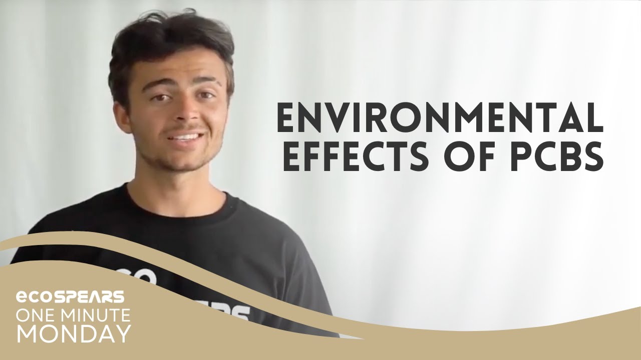 Environmental Effects of PCBs | One Minute Monday - YouTube