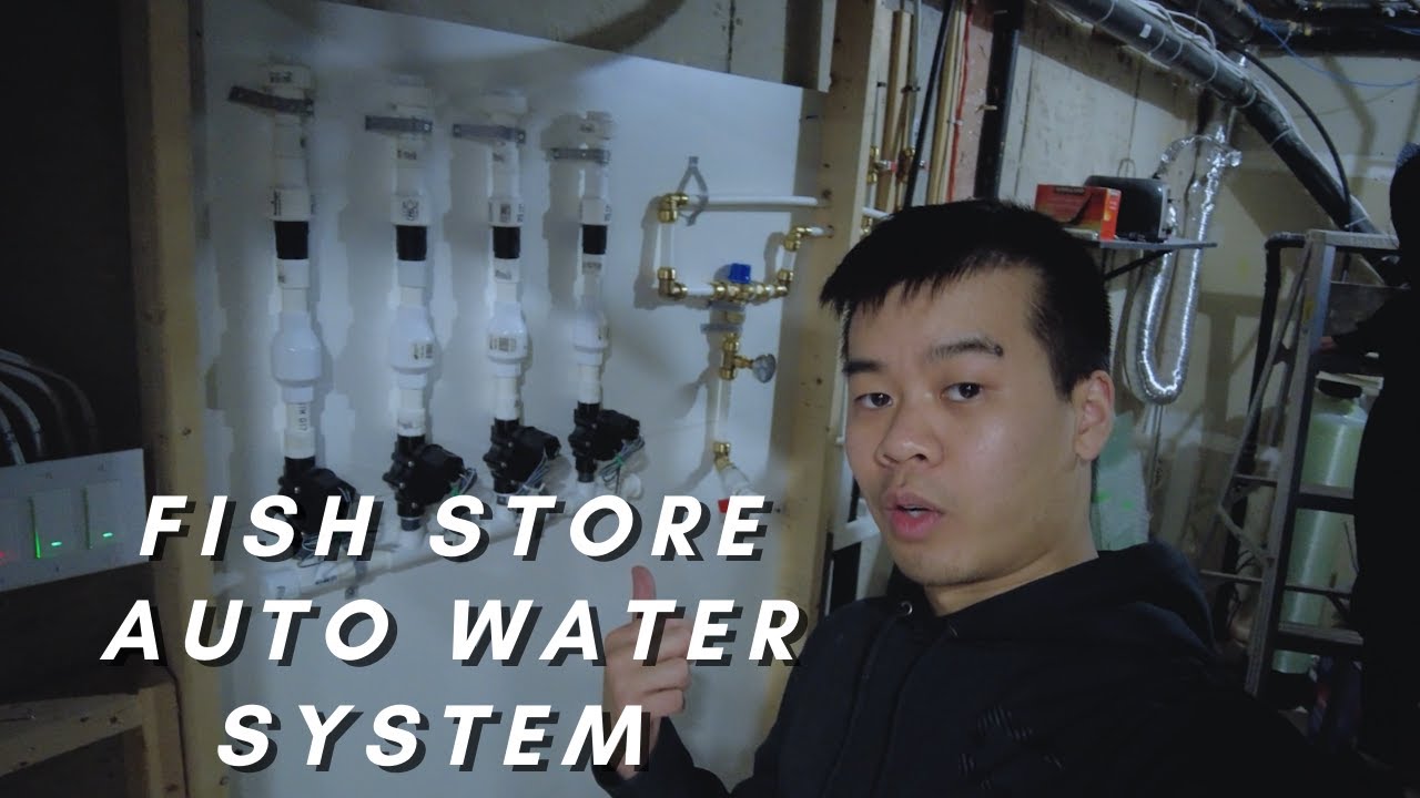 Fish Store DIY Auto Water Change System - YouTube