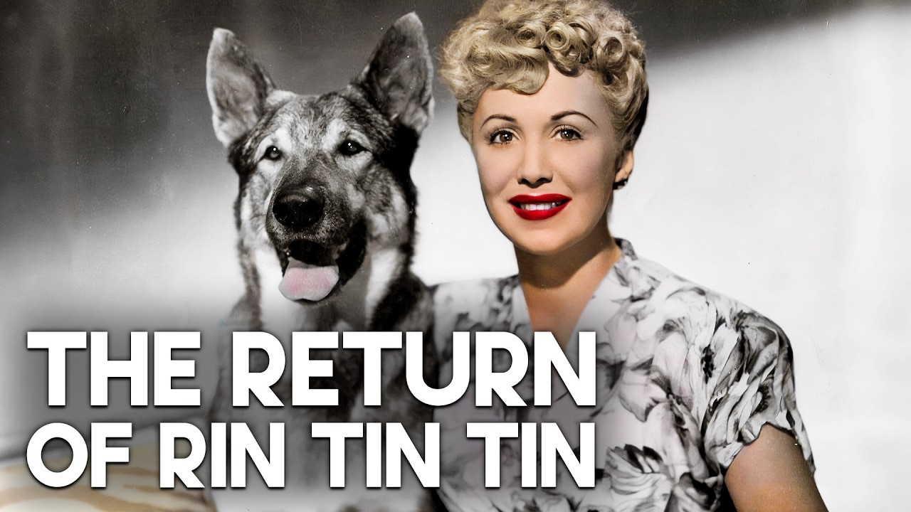 The Return of Rin Tin Tin | Family Movie - YouTube