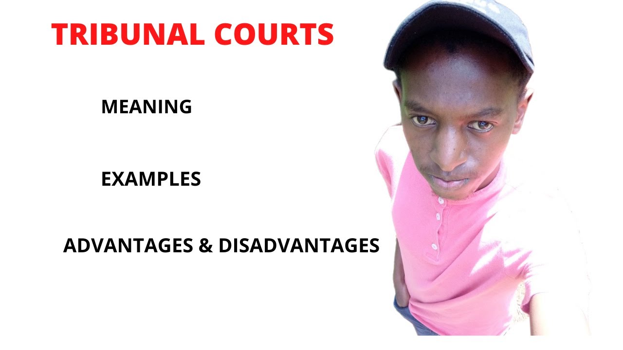 TRIBUNAL COURTS QUASI JUDICIAL BODIES MEANING EXAMPLES ADVANTAGES tribunal-courts-quasi-judicial-bodies-meaning-examples-advantages