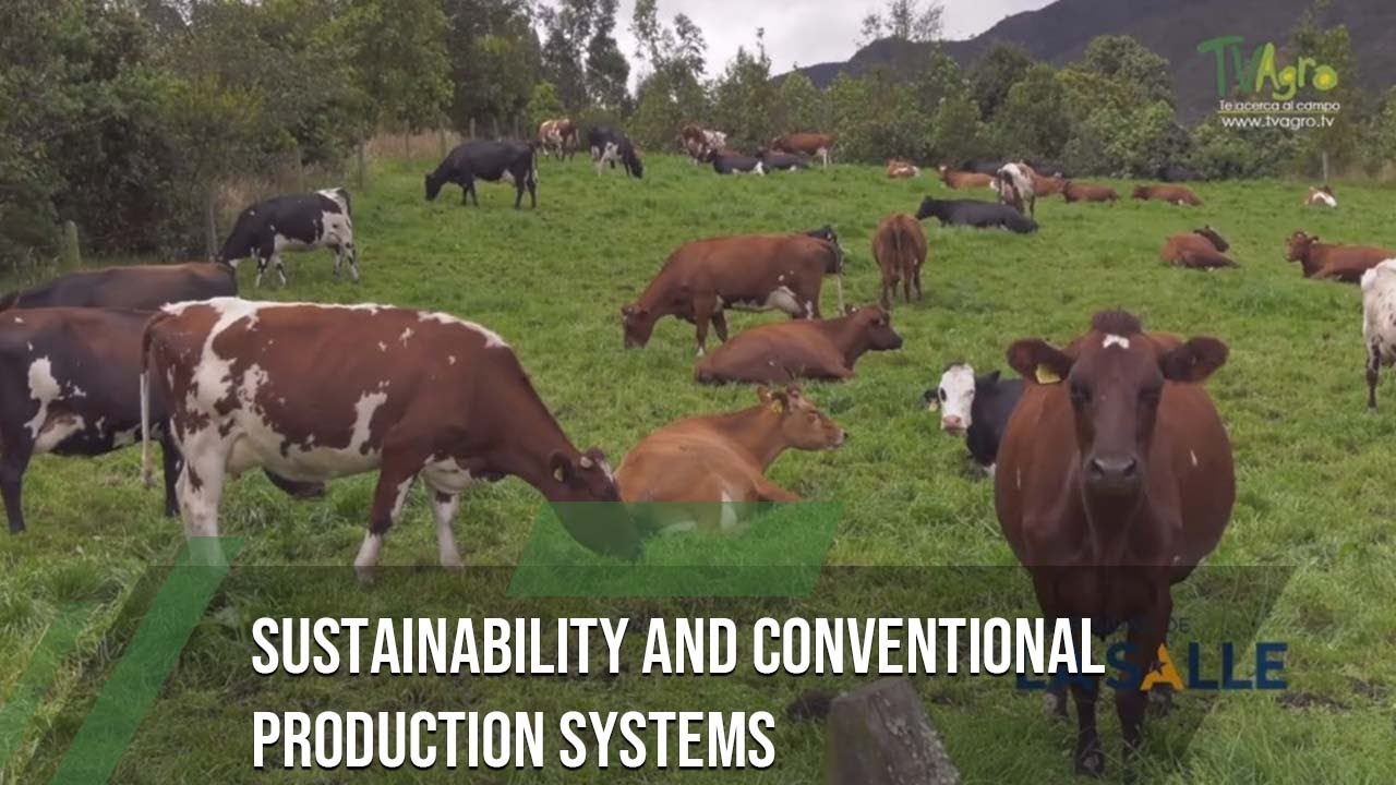 Sustainability and conventional production systems - YouTube