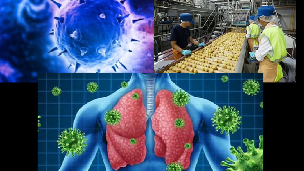 Riesgos Infecto Biologicos - YouTube