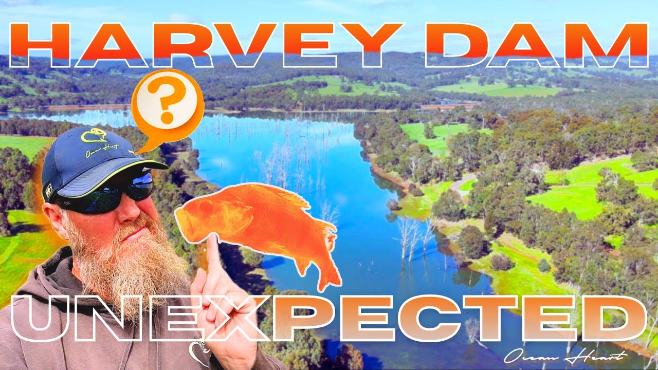 CRAZY... I DID NOT EXPECT THAT!! Fishing Harvey Dam Western Australia ...