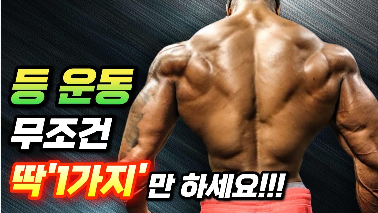 등운동은 1가지만 잘해도 등 상부 광배근 전부 다 커집니다 꼭 이렇게 운동 하세요 Youtube