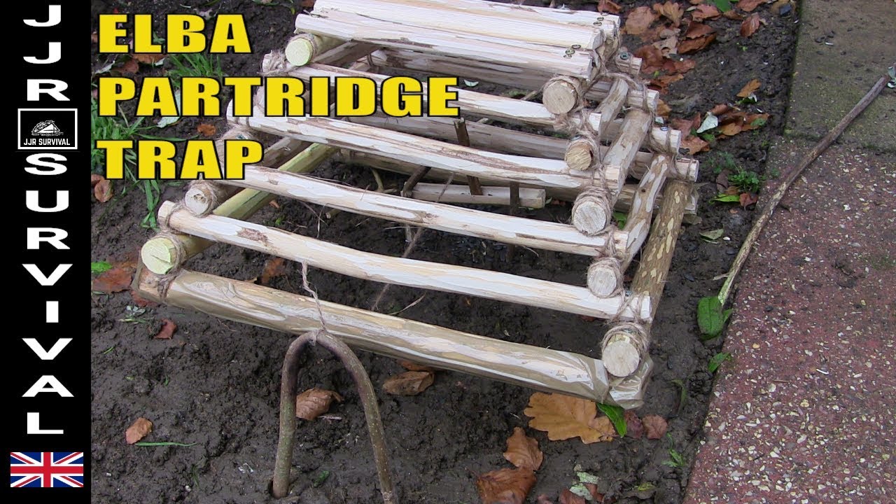How To Make A Partridge Trap - YouTube