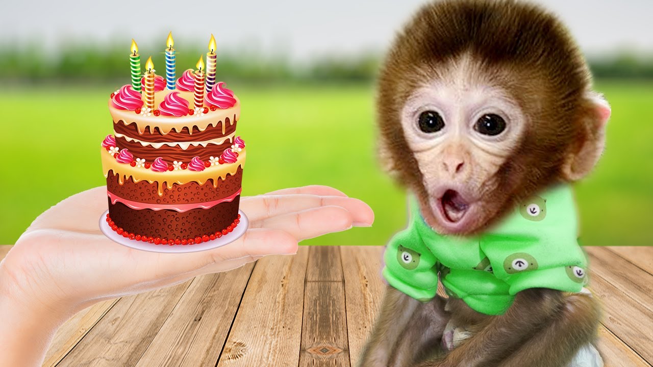 Bibo Monkey went to buy cotton cakes to celebrate his birthday - YouTube