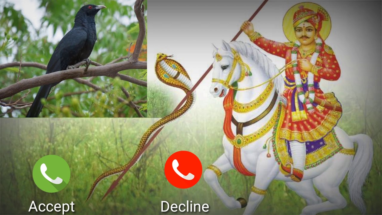 Teja Re Thare mandariya WhatsApp status 2020||teja re thare ringtone ...