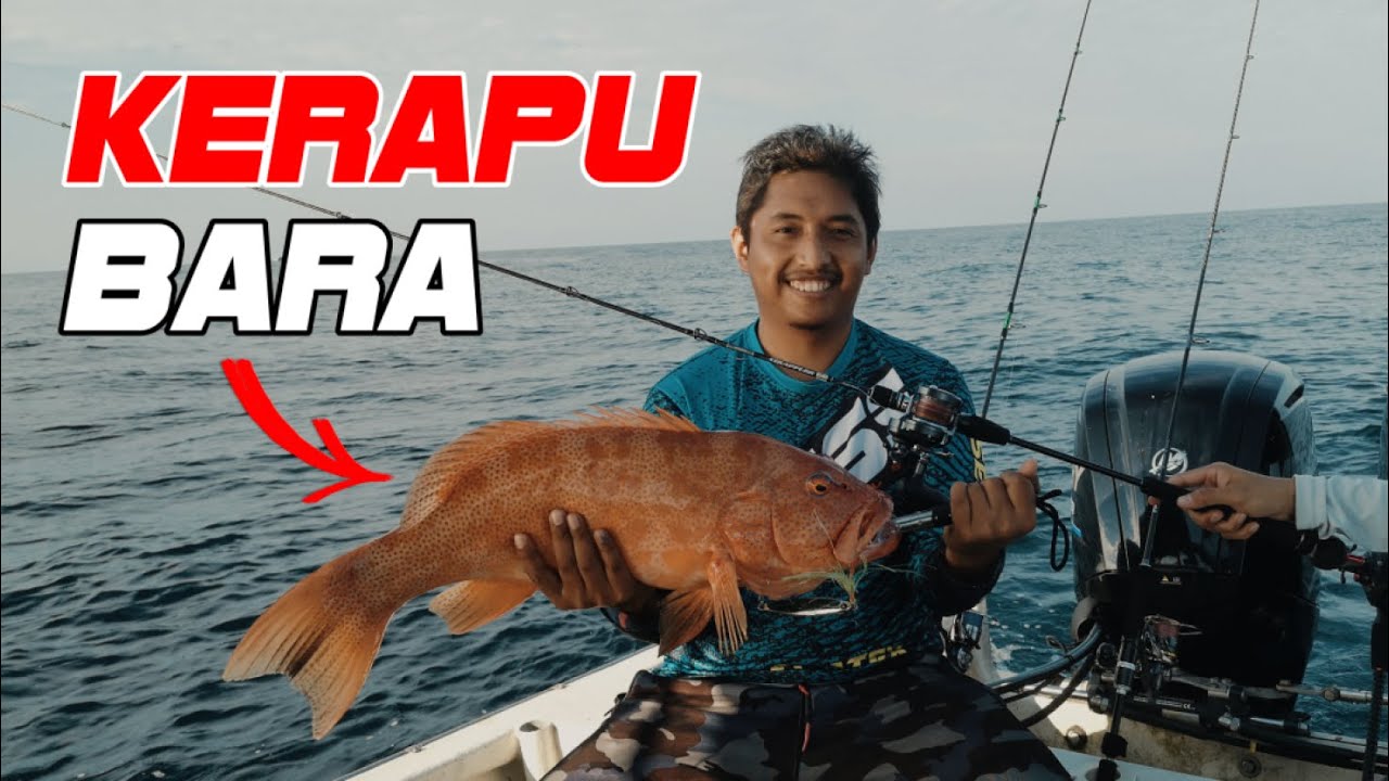 Fast Jigging Kerapu Bara! Pulau Redang Terengganu - YouTube