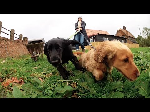 Xena vs Gabrielle - 100m World Record Attempt