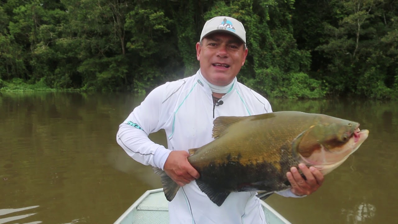 Programa Planeta Turismo Teles Pires Amazonia Fishing Lodge - YouTube