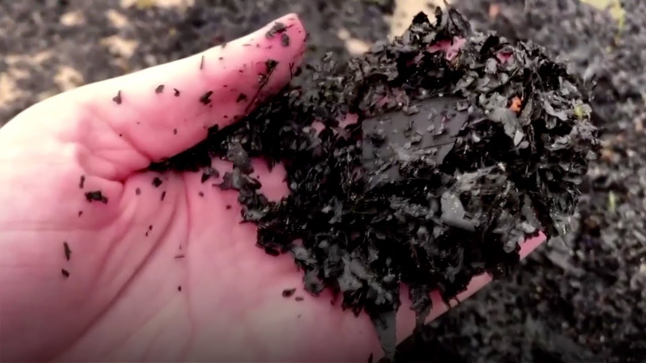 Bushfire ash turns Sydney beach black - YouTube