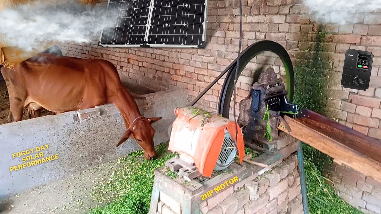 Foggy Weather Solar Chaff Cutter Toka Machine ☁️ Animal Farming - YouTube