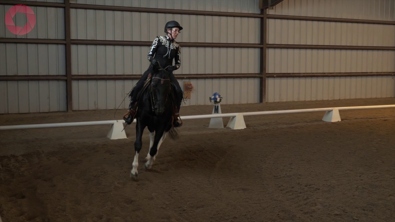 Western Dressage Level 2 Test 4 - YouTube
