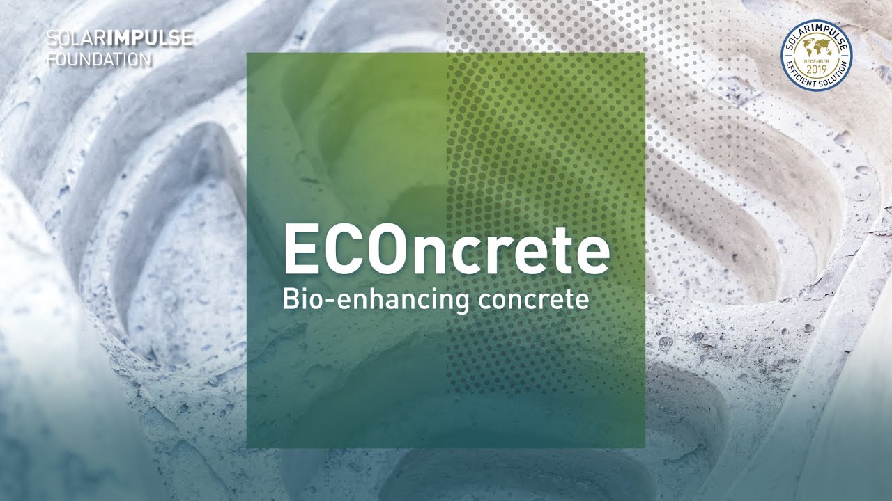Econcrete - Concrete that makes sea-life thrive - YouTube