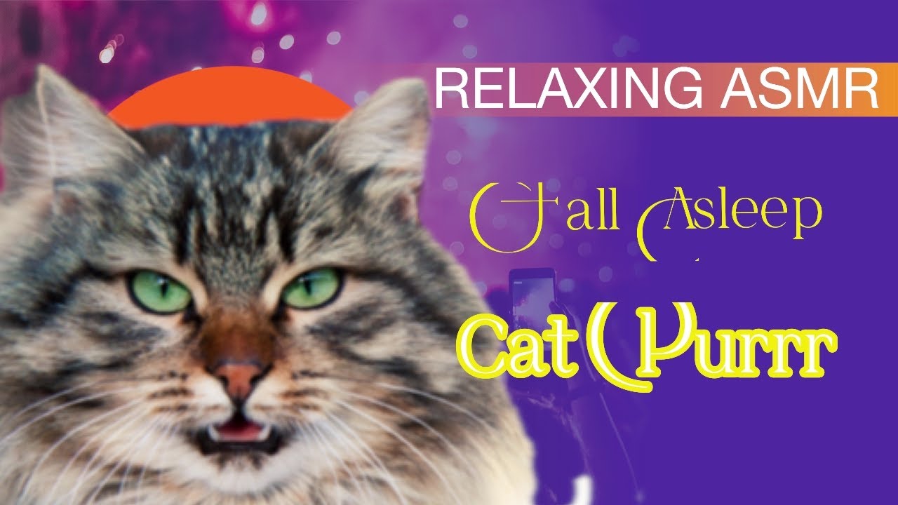 Cat Purr soothing ASMR fall asleep faster! - YouTube