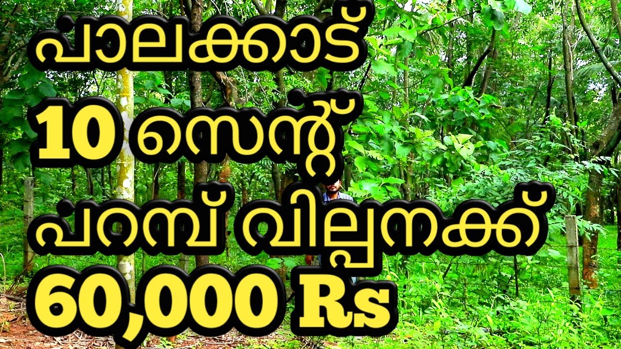 PALAKKAD 10 CENT PLOT FOR SALE - YouTube