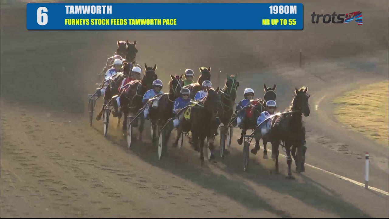TAMWORTH - 28/05/2020 - Race 6 - FURNEYS STOCK FEEDS TAMWORTH PACE ...