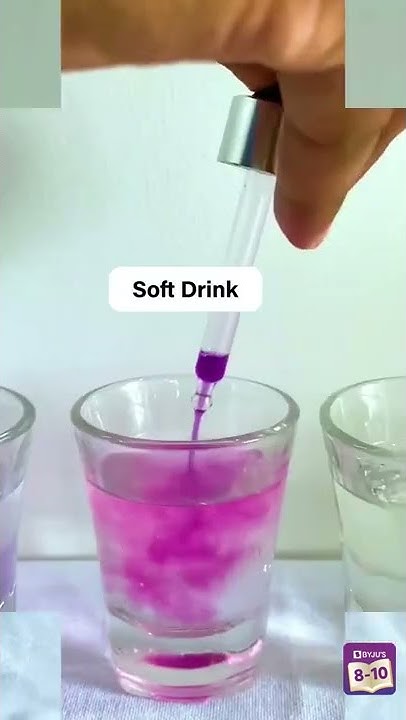 How to Make Your Own pH Indicator at Home | Science Experiment for Kids ...