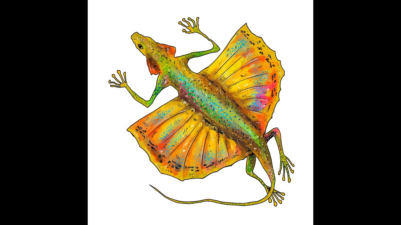 Asian dragon * Draco volans (2024) | Digital art * Drawing tutorial ...