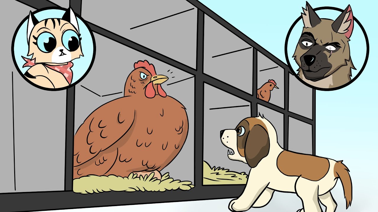 How Hugo Lost his Eye | Pixie and Brutus (Comic Dub) - YouTube