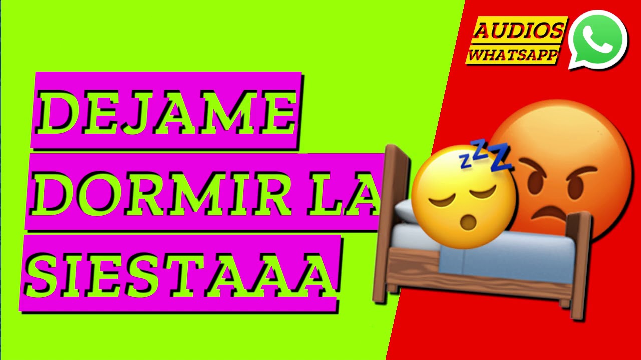 Dejame Dormir La Siesta AUDIOS WHATSAPP YouTube dejame-dormir-la-siesta-audios-whatsapp-youtube