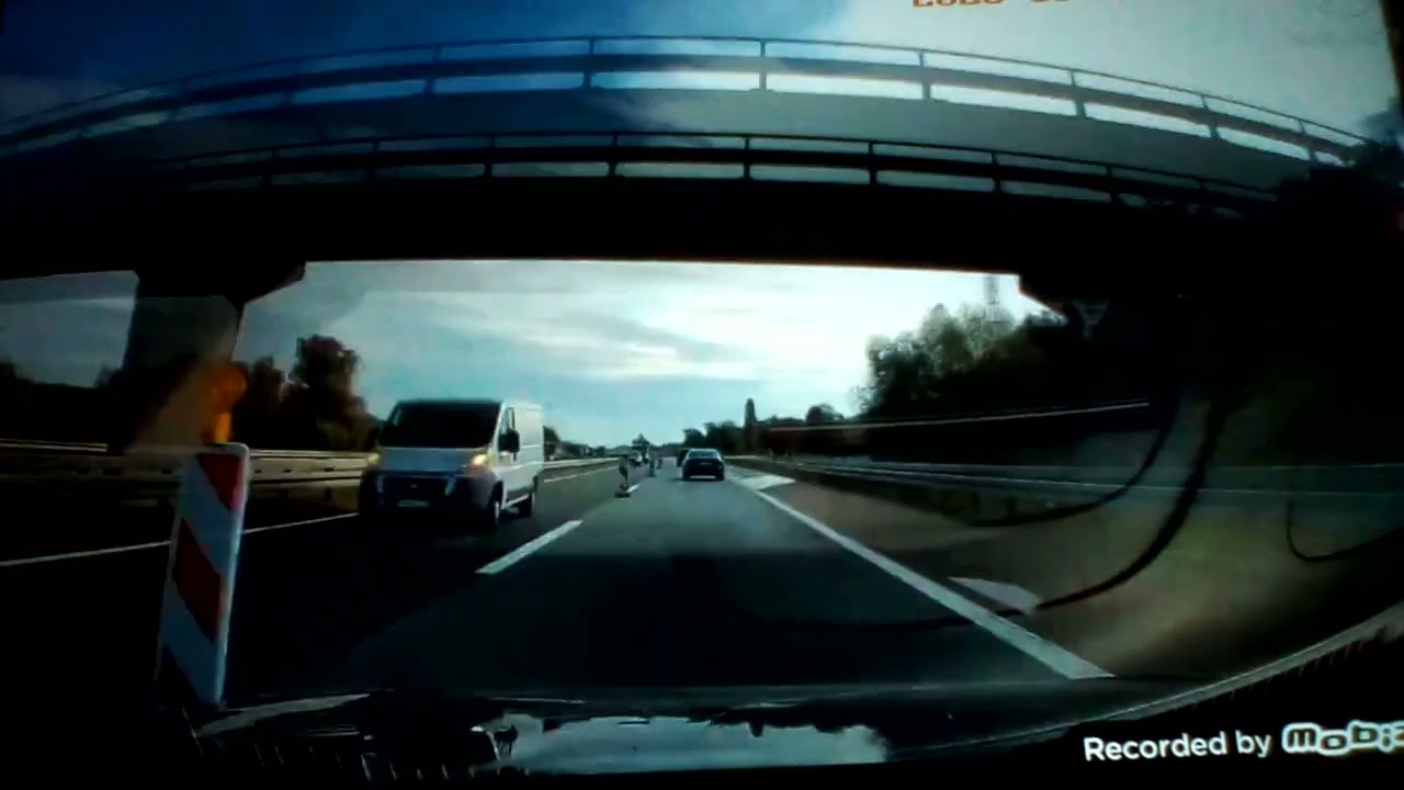 Timon and Pumbaa Watching Angry Birds Stella Interupt 2 - YouTube