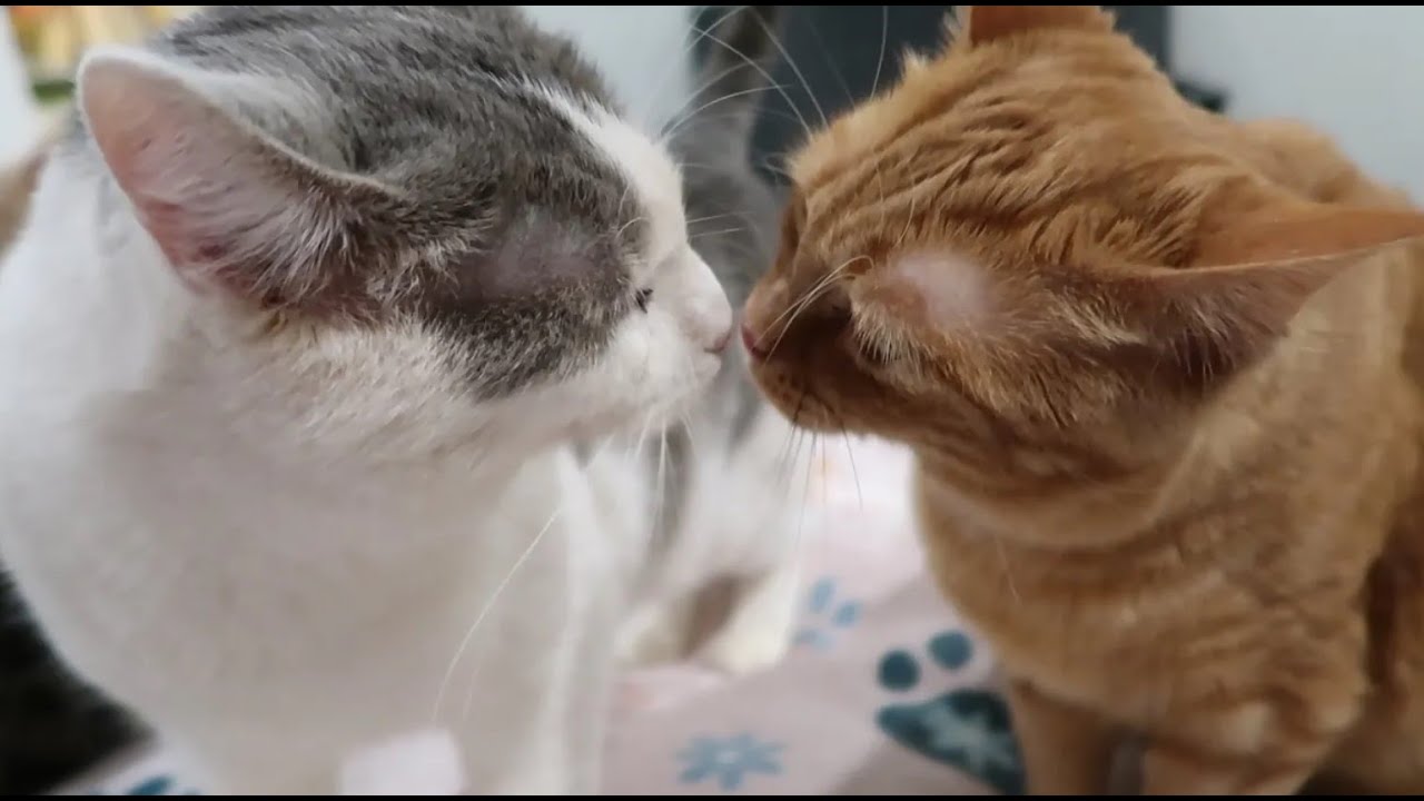 Such a sweetie - YouTube