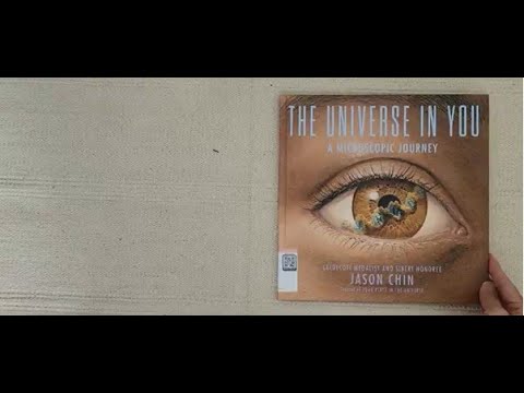 The Universe in You: A Microscopic Journey by Jason Chin - YouTube