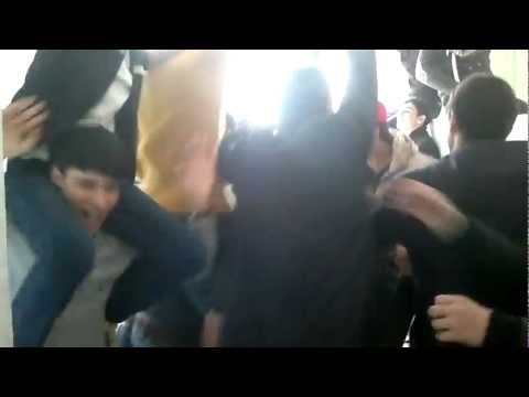 Harlem shake 253 Emliko, Nemo