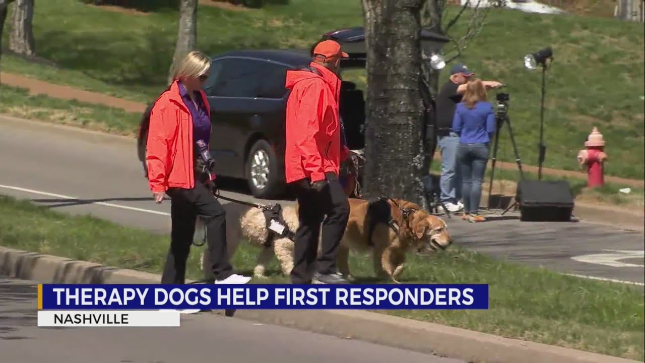 Therapy dogs help first responders - YouTube