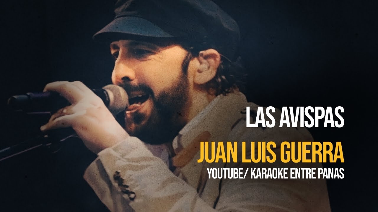 Juan Luis Guerra 440: Las Avispas (Karaoke) - YouTube