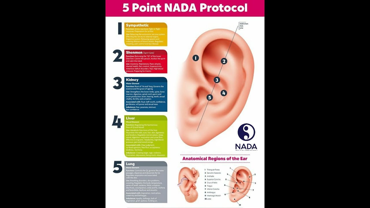 Auricular ( Ear) Acupuncture Detoxification. Health, How to, Tutorial ...