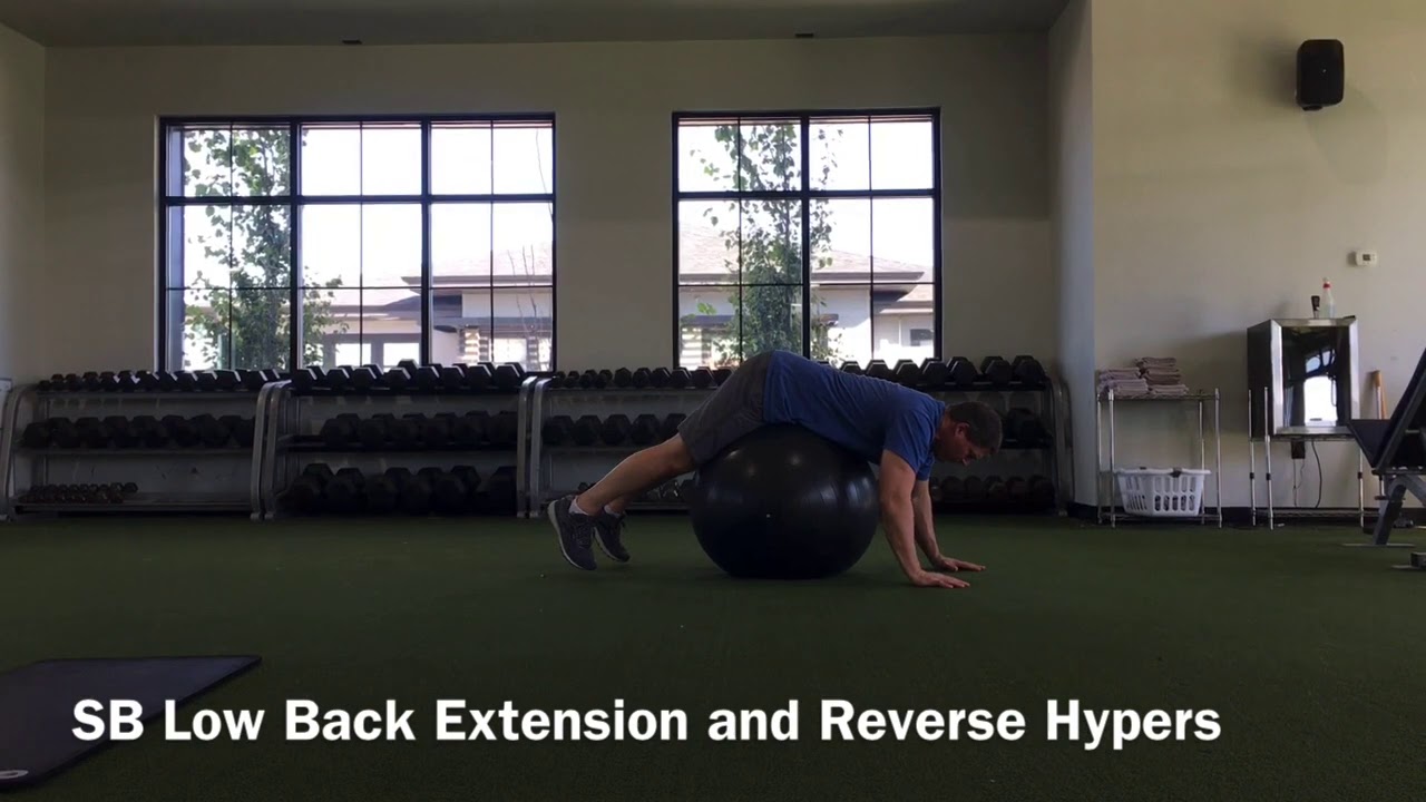 Sb low back extension and reverse hyper - YouTube