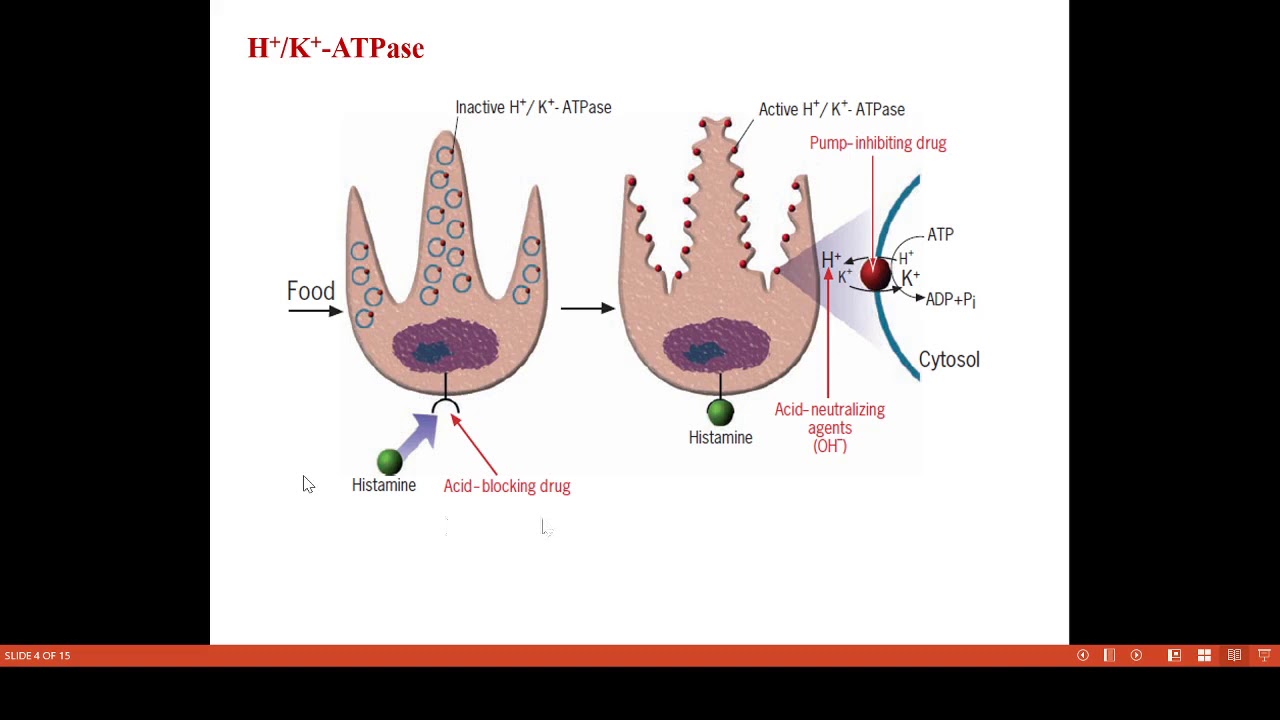 Video 13 other P type pumps - YouTube