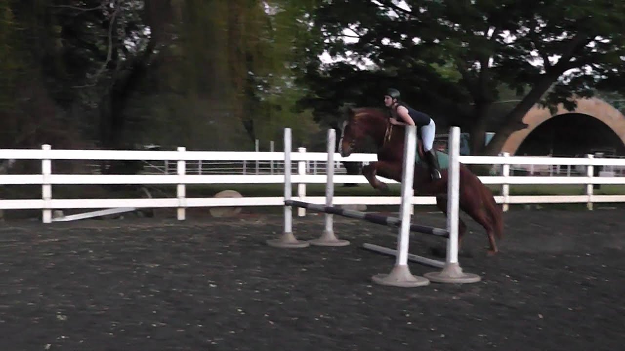 Oxer Jump 2 - YouTube