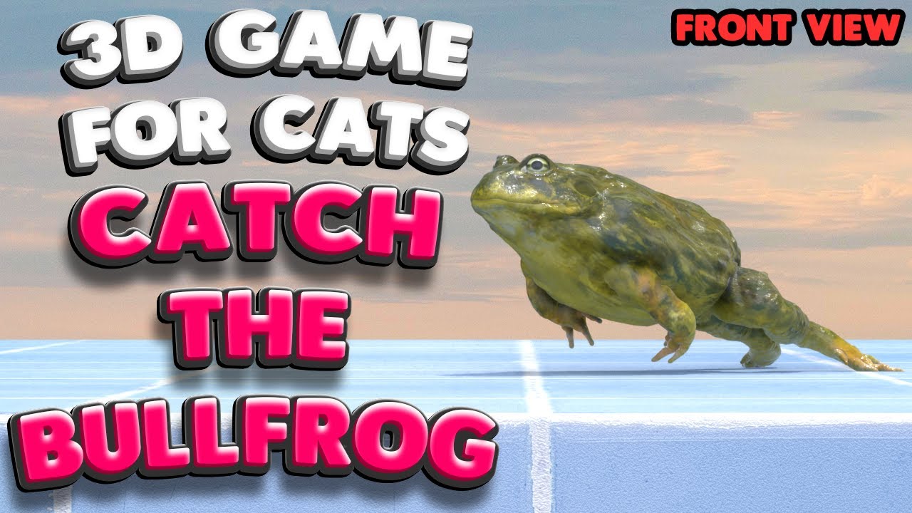 3D game for cats | Catch the BULLFROG (front view) | 4K, 60 fps, stereo ...