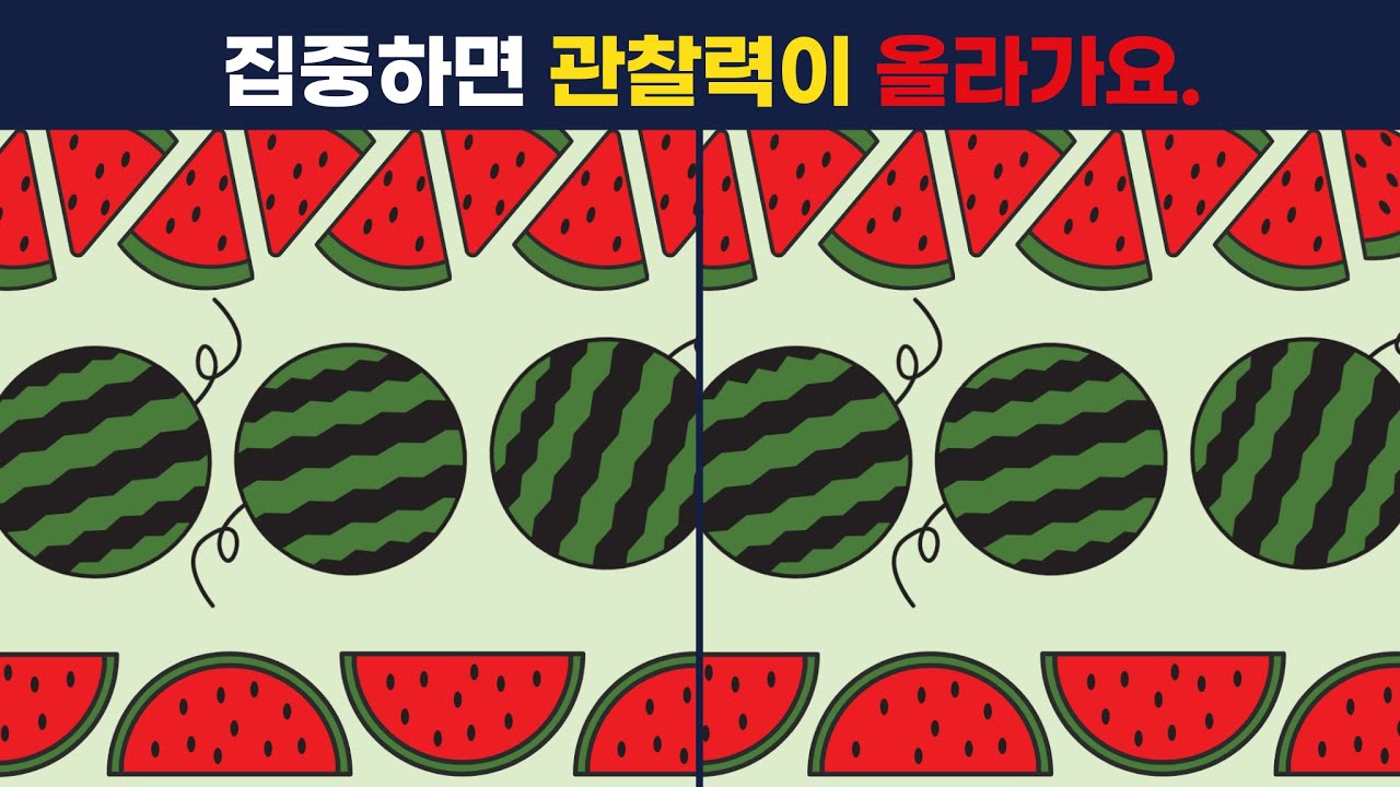틀린 그림 찾기 집중하면 관찰력이 올라가요 언제나 퀴즈 수수께끼 넌센스 건망증 치매예방 다른그림찾기 Find 3