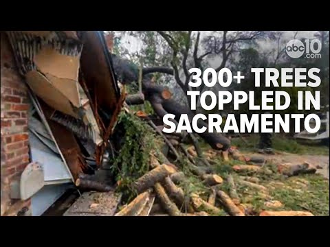 California Storm Update | Heavy topple tree over 3-car garage ...