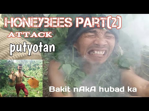 #HONEYBEE# Putyokan bisaya ATTACK PART 2|BAKIT NAKA HUBAD KA| - YouTube