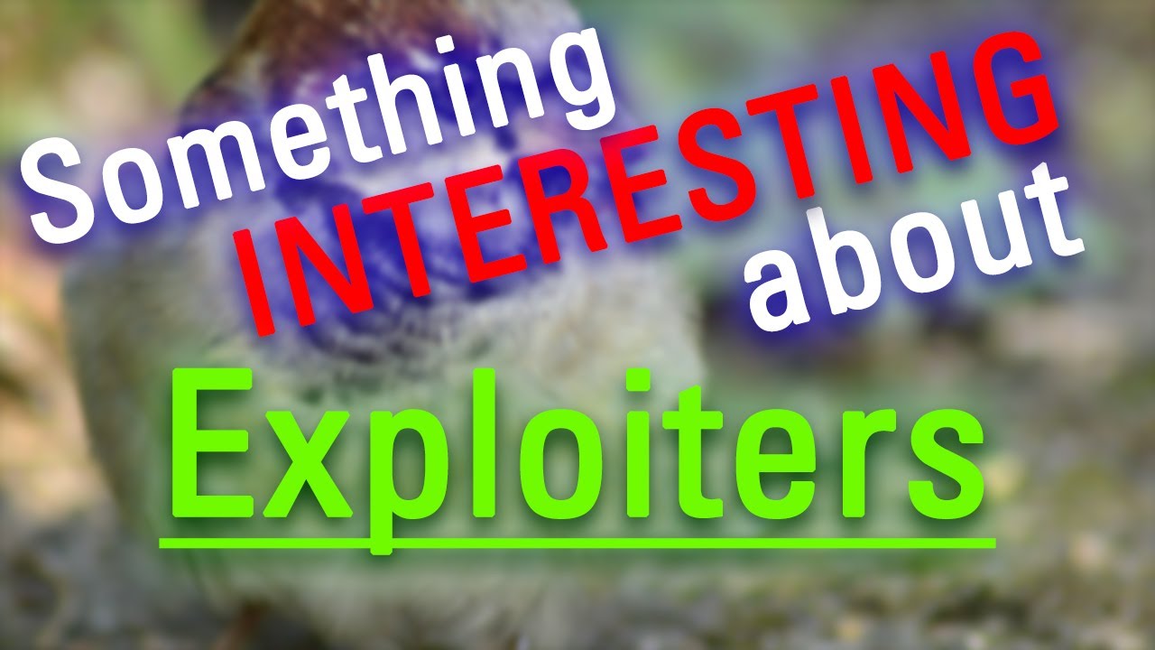 What are Exploiters? | How to Say Exploiters in English? | How Do ...