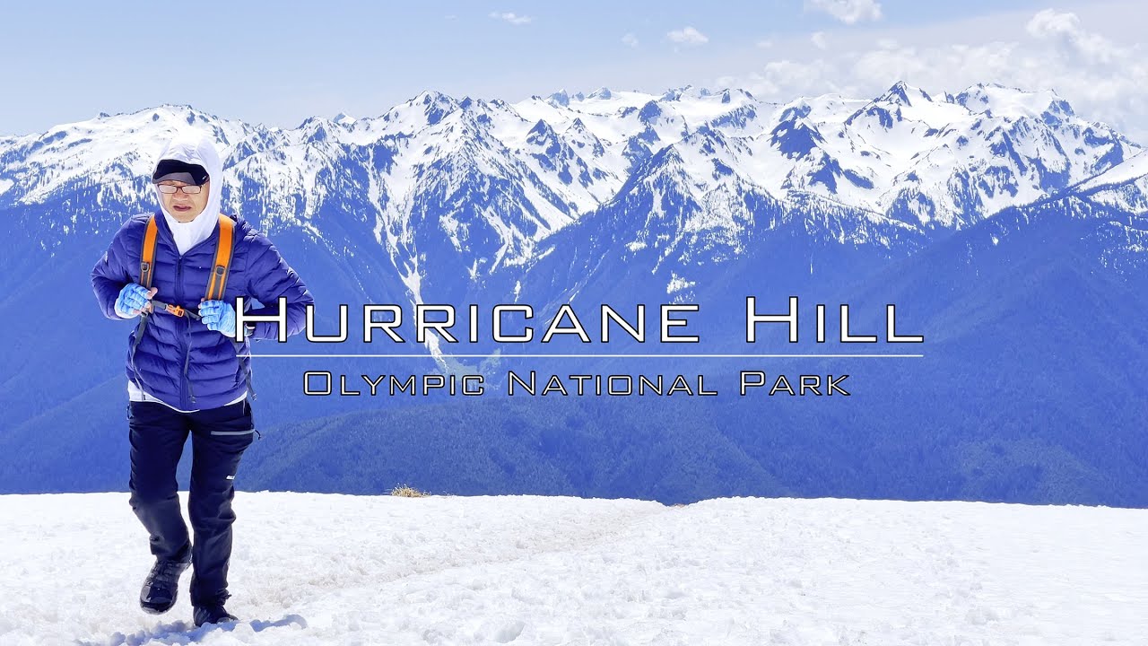 Hurricane Hill Day Hike via Hurricane Ridge Rd at Olympic National Park ...