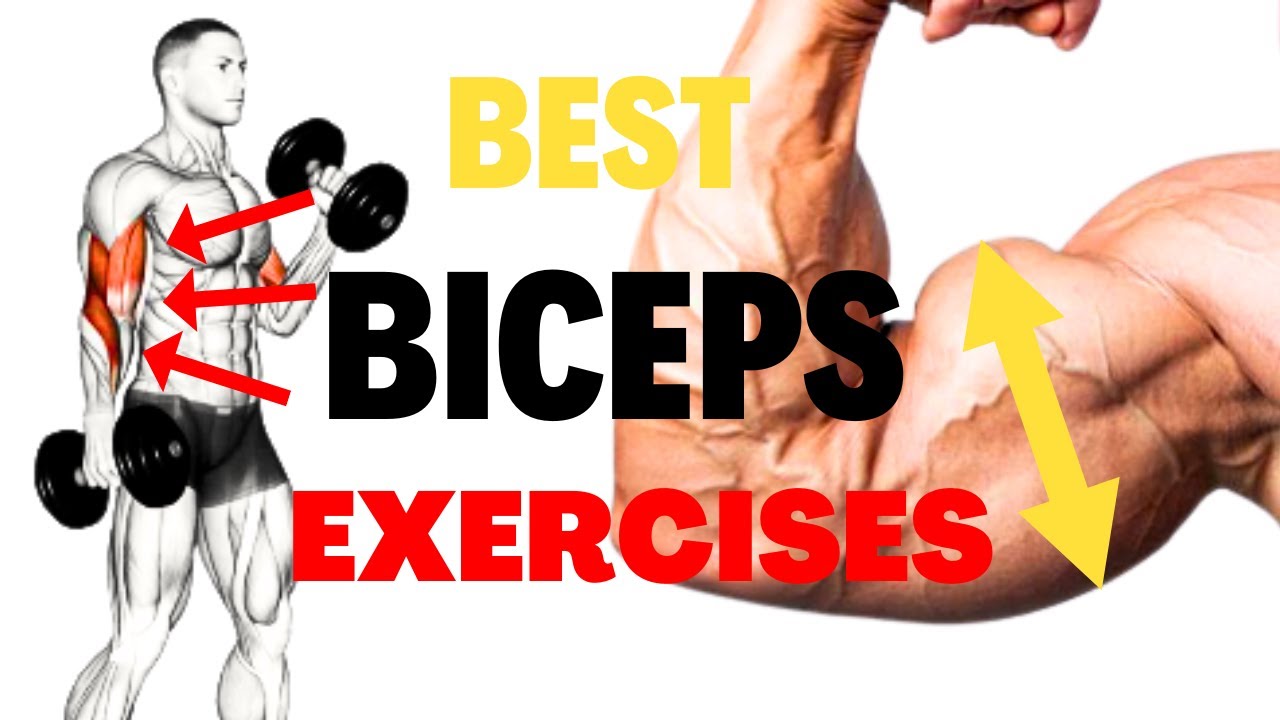 BEST BICEPS WORKOUT/ BEST 9 Exercises for WIDER BICEPS - YouTube