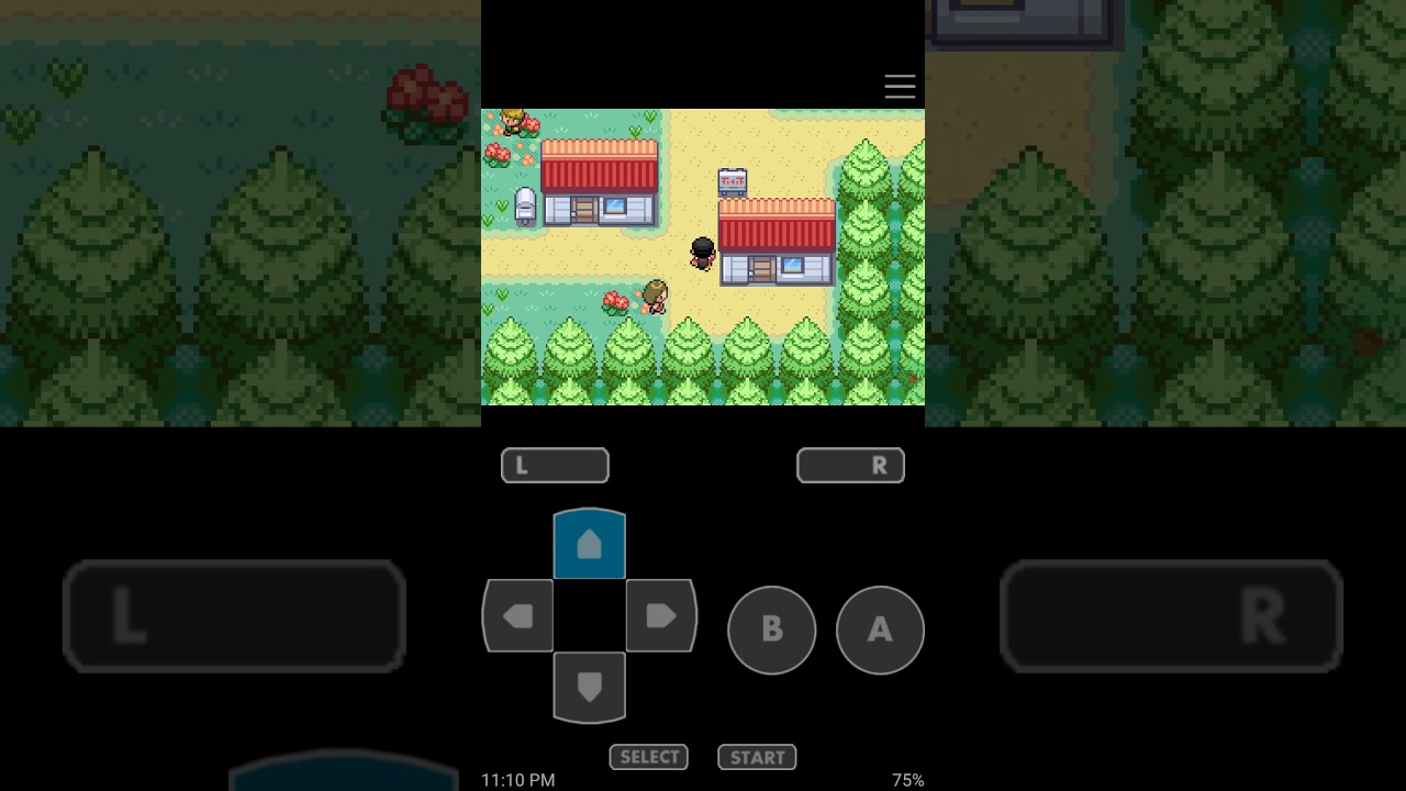 Pokemon crystal dust review - YouTube