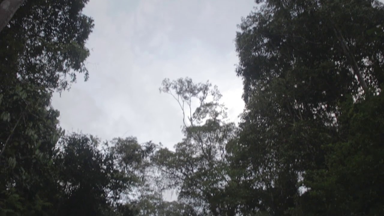 VLOG 3_Riam Berasap, KM 31, Nusa Kenyikap - YouTube