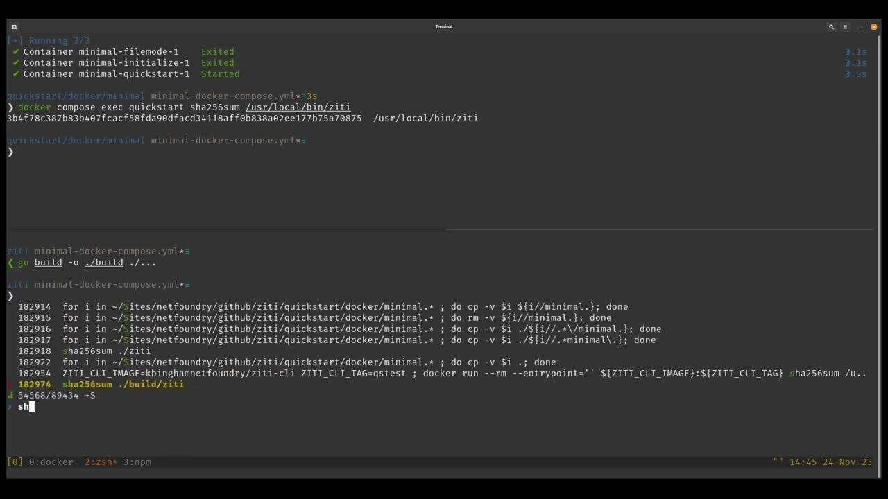 Minimal OpenZiti Docker Development Environment - YouTube
