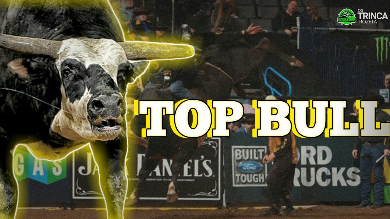 Top bull - Rango - YouTube