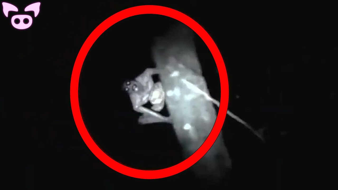 Scary Moments Captured on Camera - YouTube