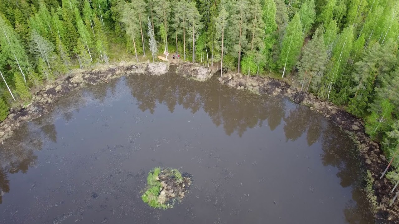 DJI Mavic Mini Swamp modification #2 - YouTube